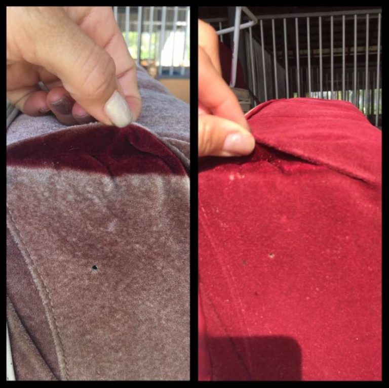 Chalk Paint® on Velvet (Vintage Horse Carriage) | The Purple Painted Lady